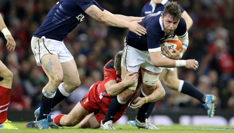 Six Nations Rugby | Scotland’s Wilson signs up for more